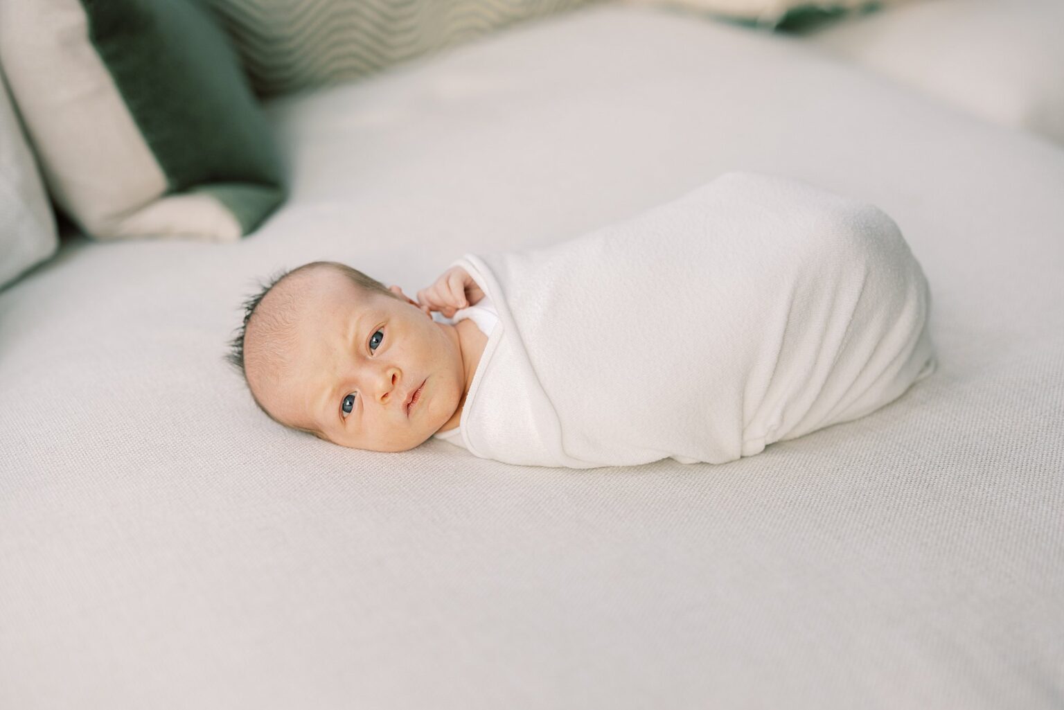Chevy Chase Newborn Photography